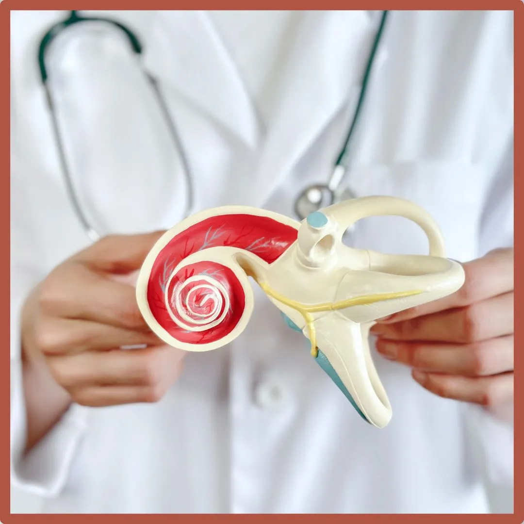 Hearing Double Trouble? Diplacusis Demystified - Stanford Hearing Aids